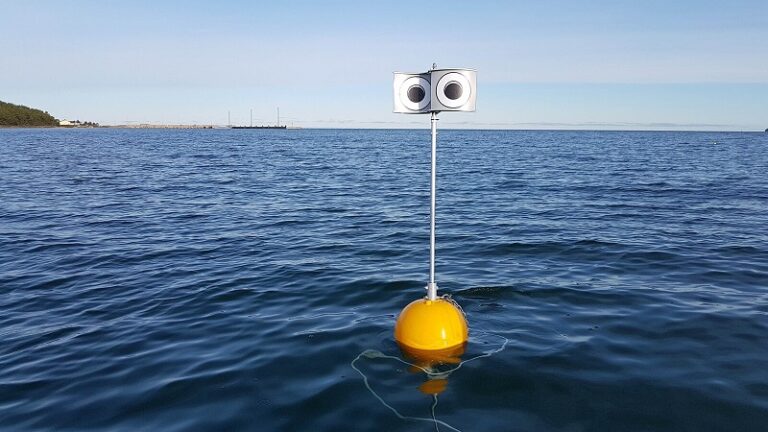 The Kind of Buoys You Can Choose - Globellers