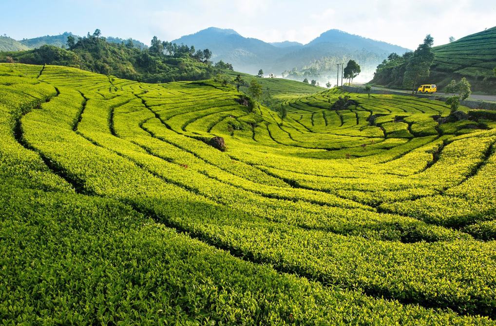 4 Popular and Interesting Destinations in Bogor to Explore - Globellers